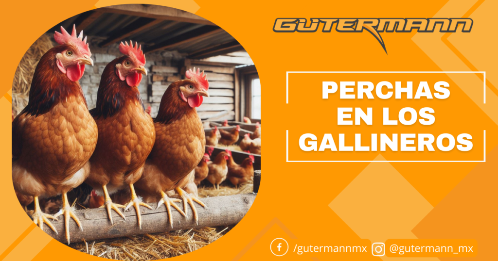 Gallo Sweater | Navajas Gütermann